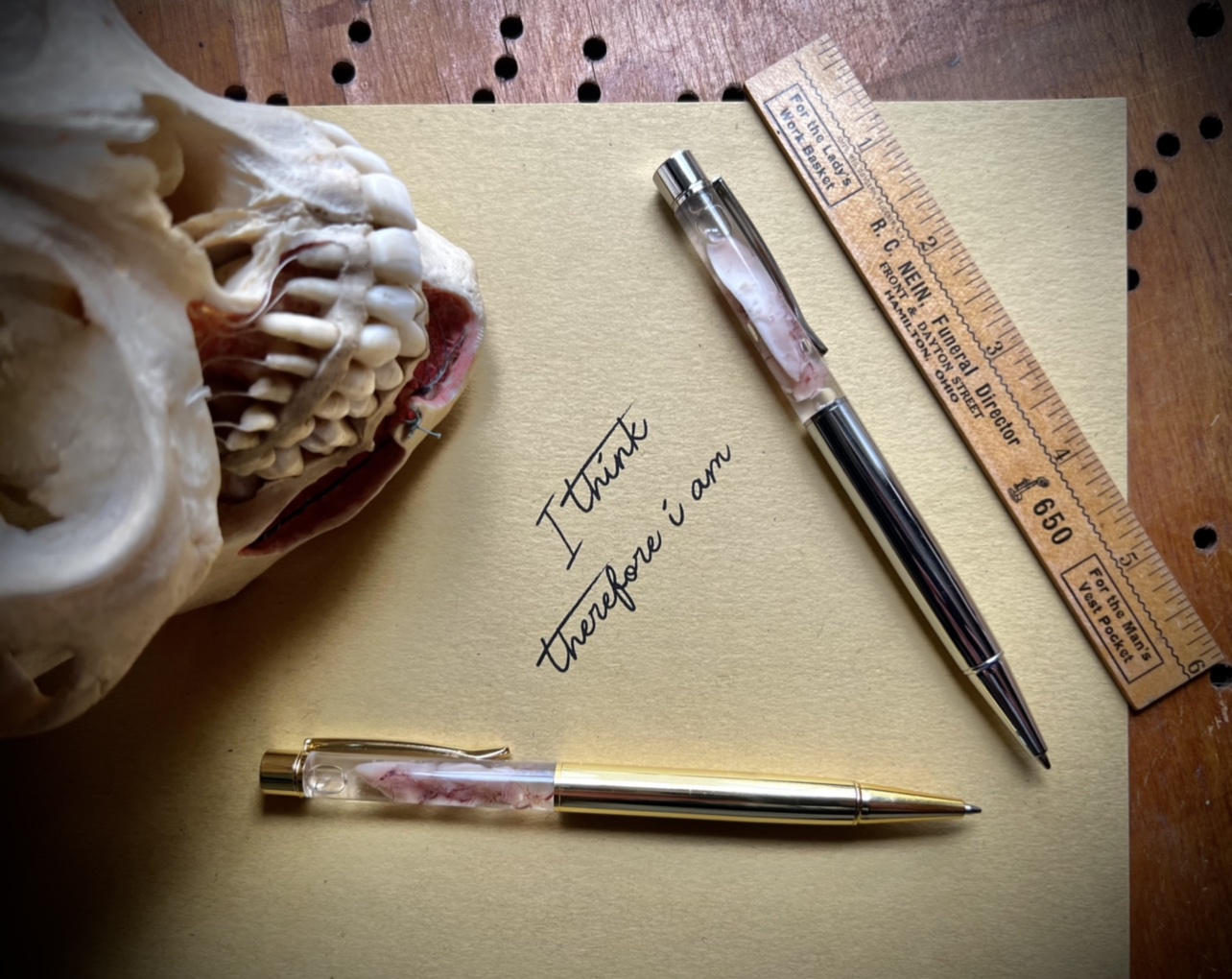 Human Brain Pens - Matt's Curio Cabinet