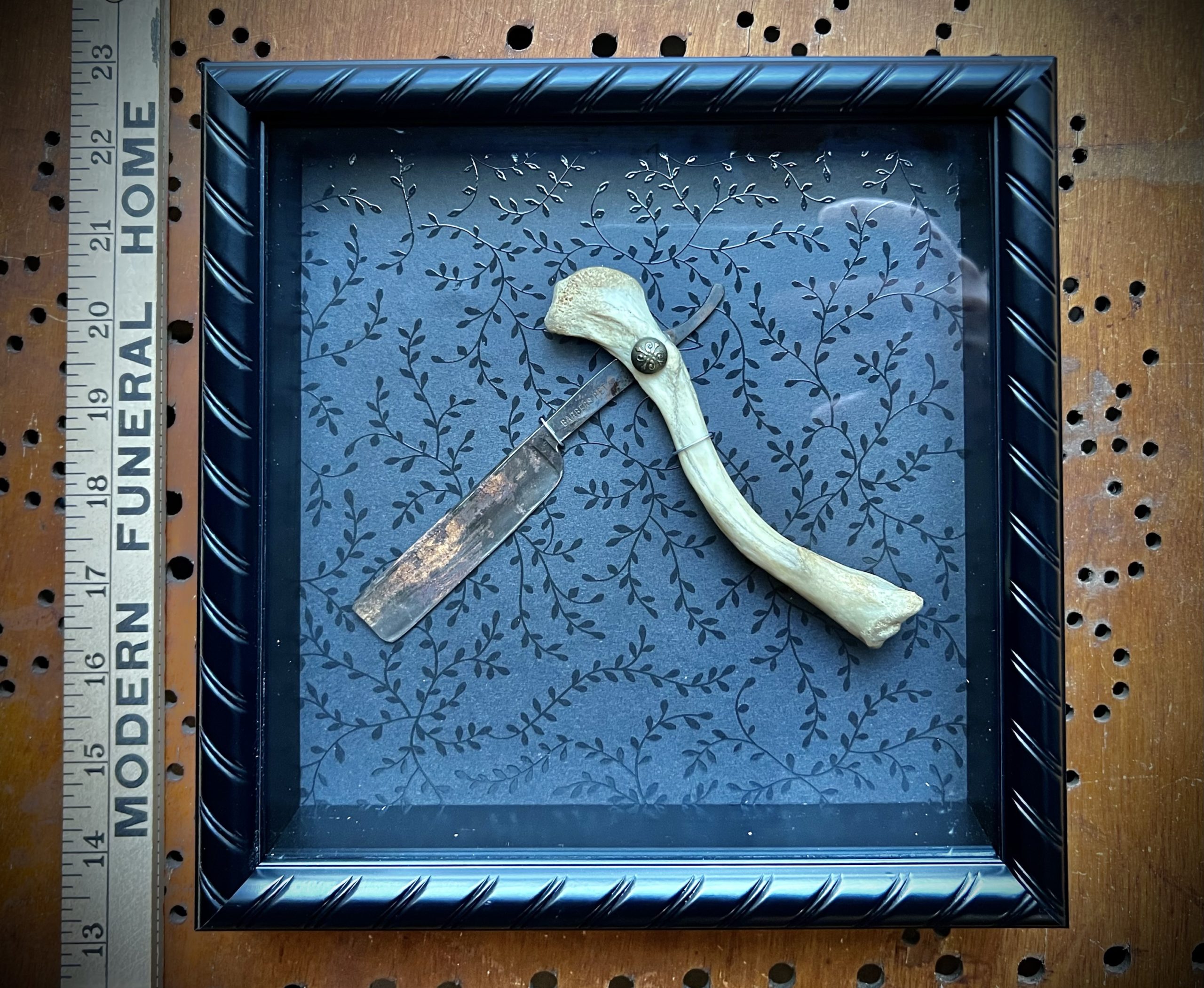 Human Clavicle & Straight Razor Shadowbox Display - Matt's Curio Cabinet