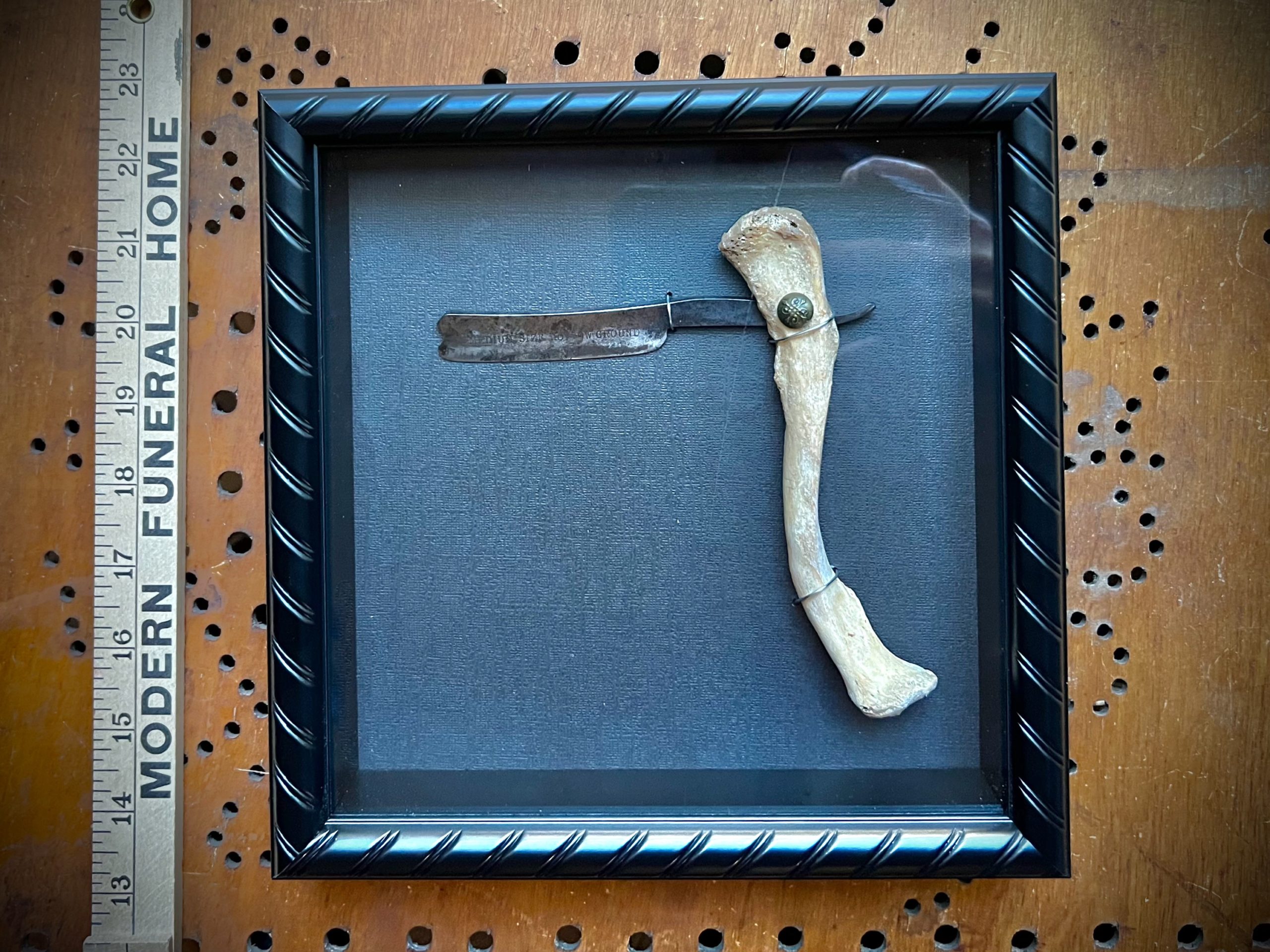 Human Clavicle & Straight Razor Shadowbox Display - Matt's Curio Cabinet